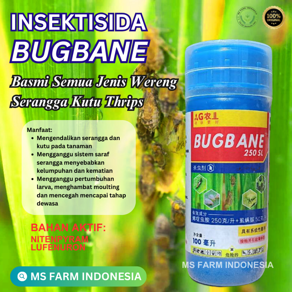 Jual Insektisida Bugbane - Basmi Semua Jenis Wereng Serangga Kutu Thrips | Shopee Indonesia