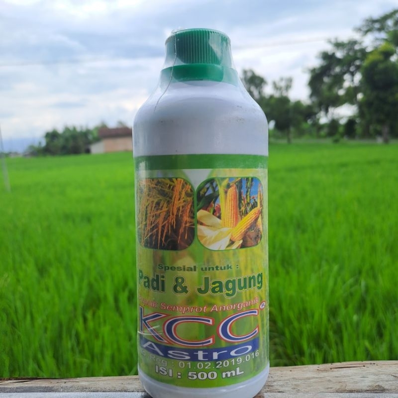 Jual KCC ASTRO PADI JAGUNG 500 ML ORIGINAL 100% | Shopee Indonesia