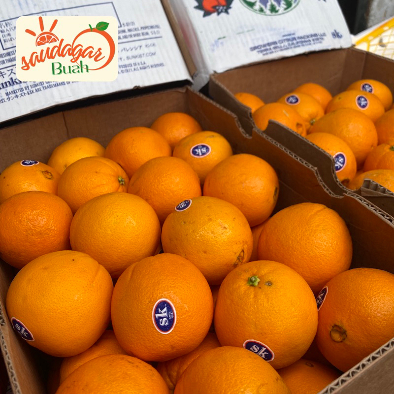 Jual Buah Jeruk Sunkis Sankis Navel Australia Orange Juicy Navel