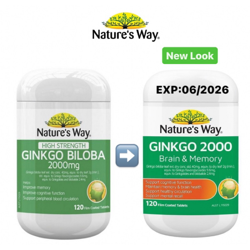 Jual Natures Way Ginkgo Biloba 2000 Brain & Memory 120 Tablets | Shopee ...