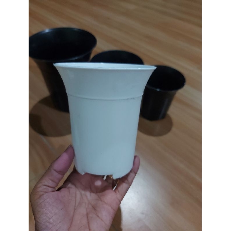 Jual Pot Garden 10 cm Pot Tinggi Pot Bibit Pot Sansiviera | Shopee ...