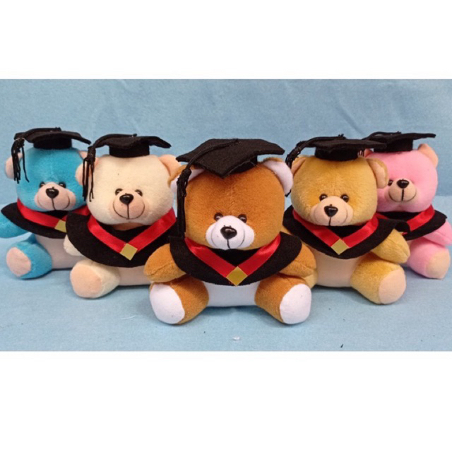 Jual Boneka teddy Wisuda | Boneka wisuda | Graduation doll | Boneka ...