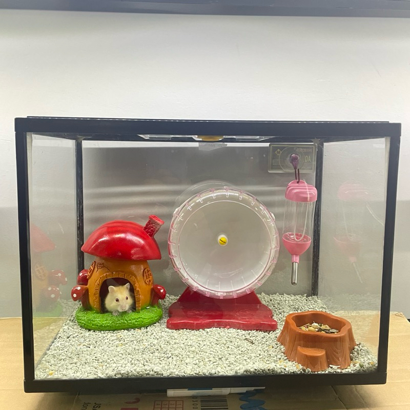 Jual Terarium Kandang Hamster aquarium Fullset medium Kandang Hamster ...