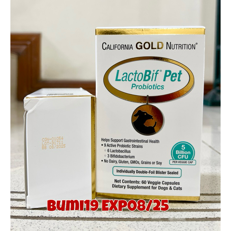 Jual LactoBif Pet Probiotics California Gold Nutrition 5 Billion ...