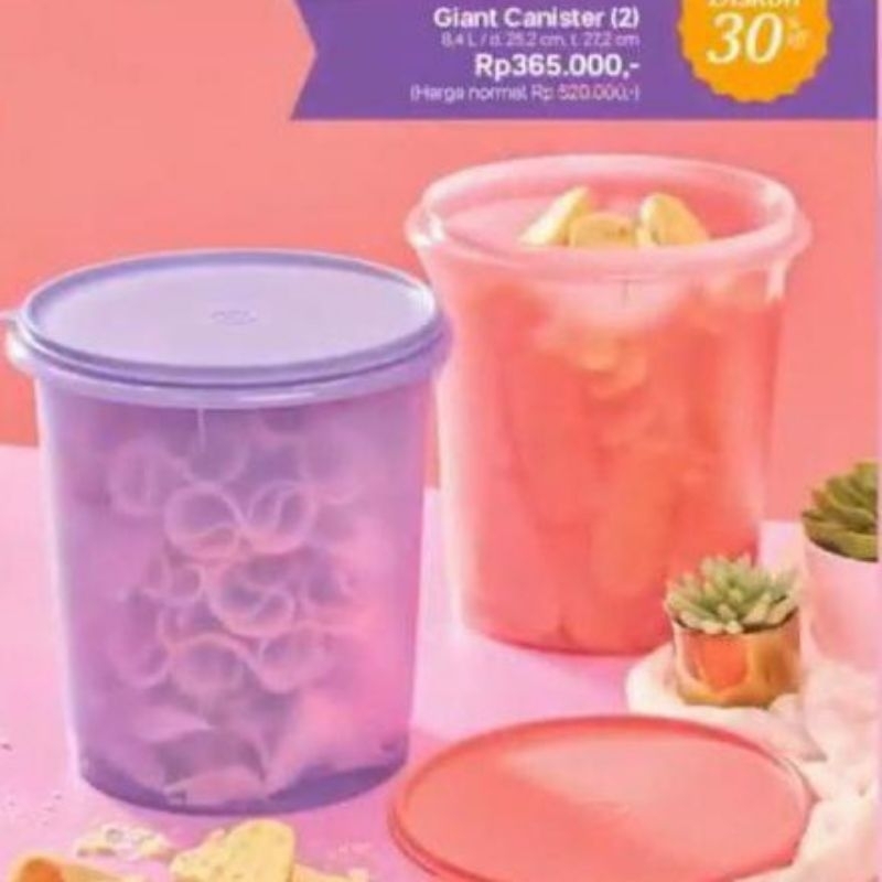 Jual Tupperware Original Promo Giant Canister 8,4 liter Toples Besar ...