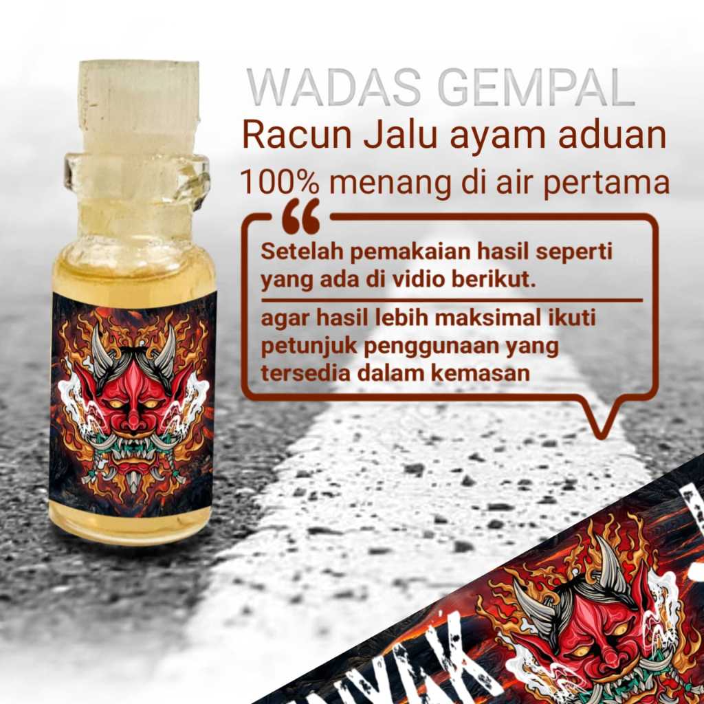 Jual ayam bangkok murah mangon asli racun jalu wadas gempal vitamin ...