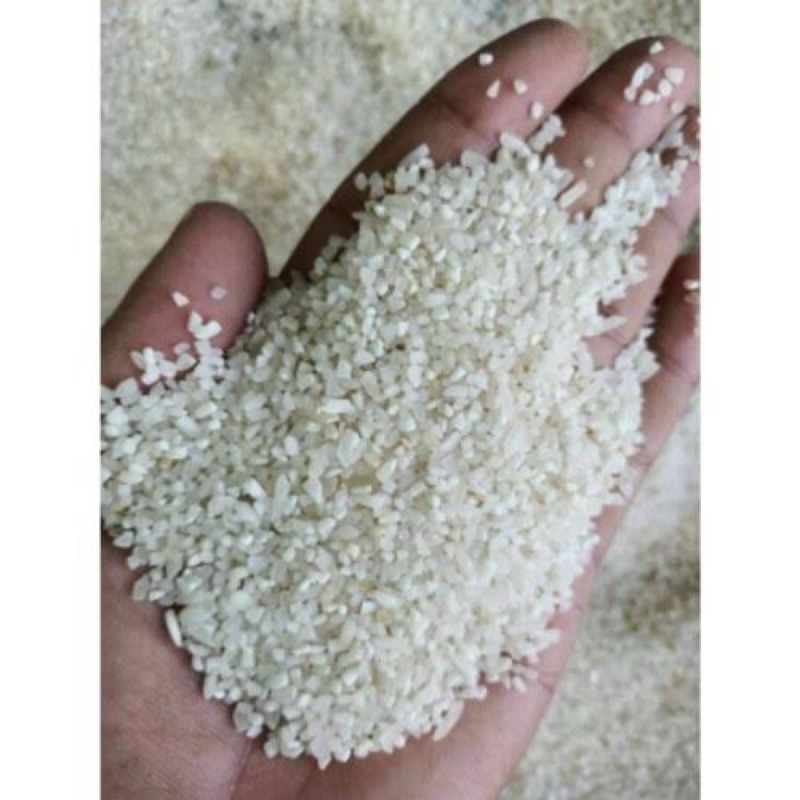 Jual menir 5 kg / 10 kg - menir beras kecil | Shopee Indonesia