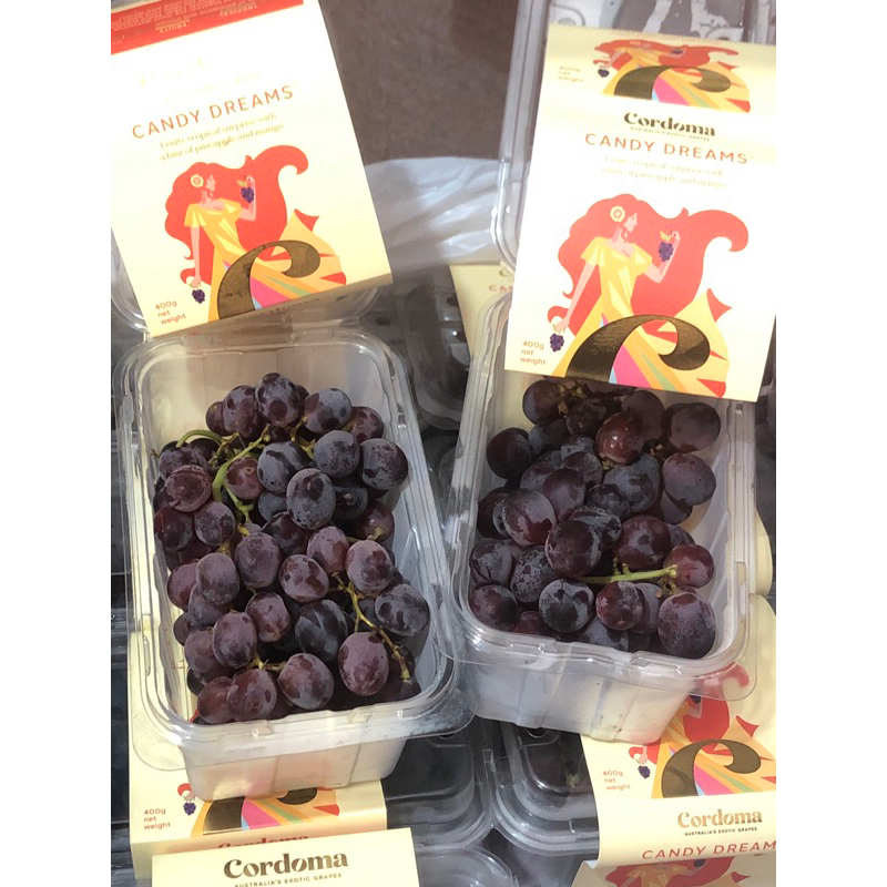 Jual Anggur Candy Dreams Australia Cordoma Jumbo Berat 400gr /pack ...