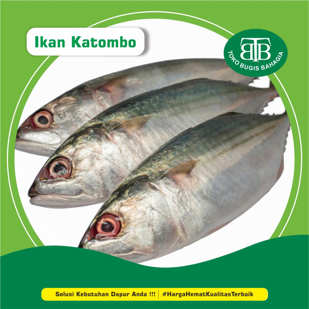 Jual Ikan Katombo, Pasar Online Murah Makassar, Pasar Terong Makassar ...