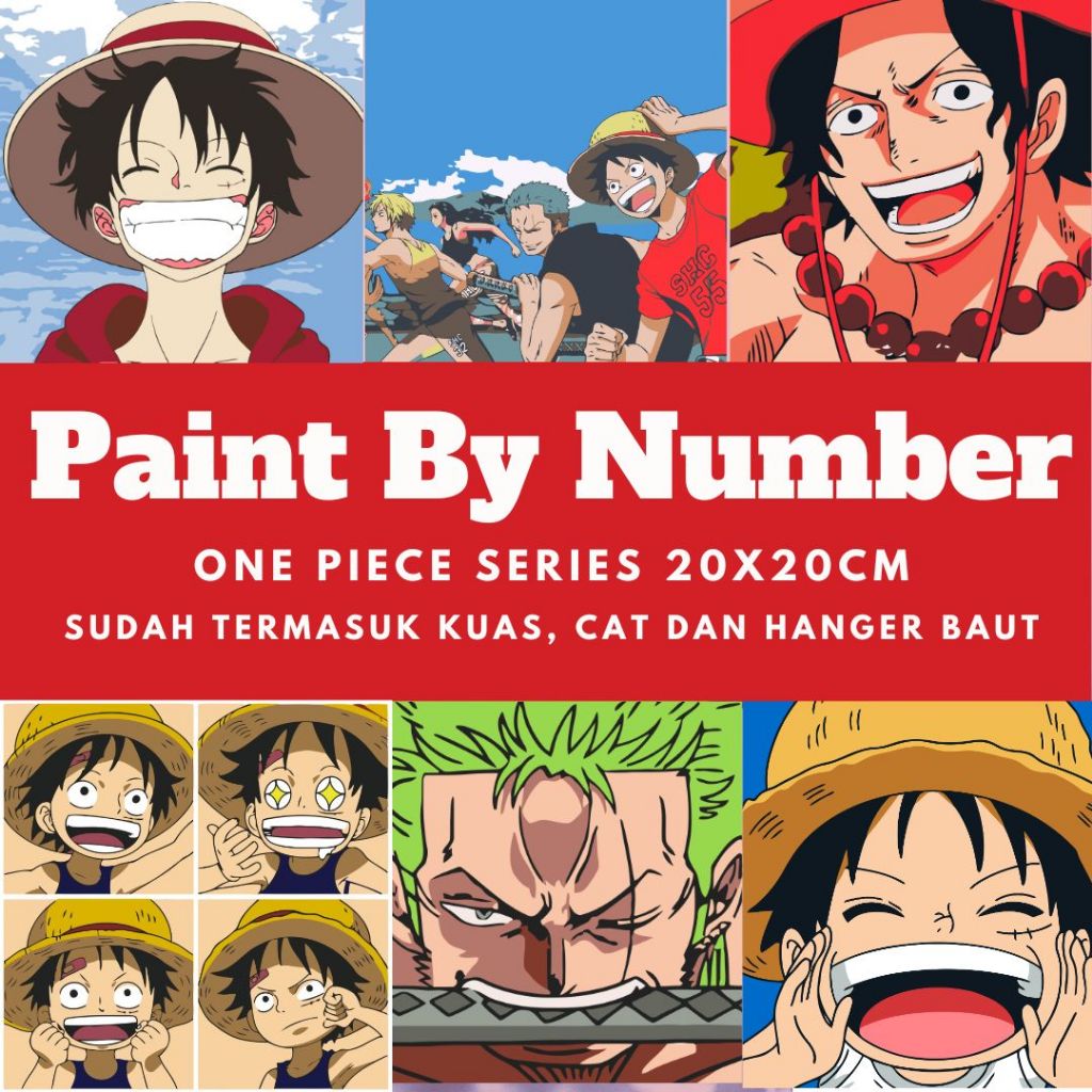 Jual (Series Onepiece) DIY Paint by Number ukuran 20x20 cm | Shopee ...