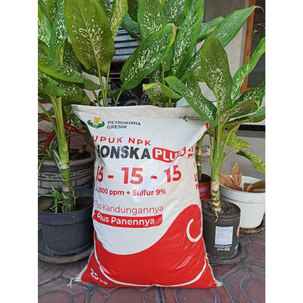Jual Pupuk Phonska Plus Non Subsidi Asli Petro Kemasan 25kg Asli Pabrik ...