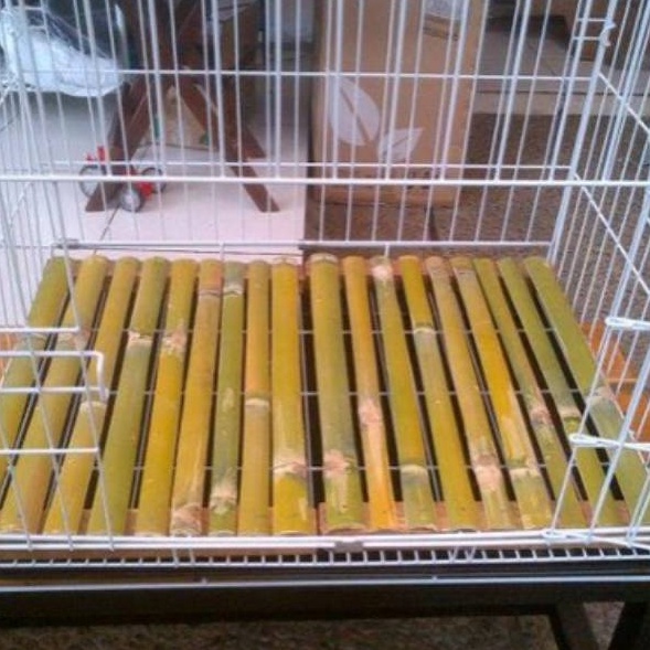 Jual Koleksi yang Terjaga dengan Baik Footrest Bambu Alas Kandang Bambu ...