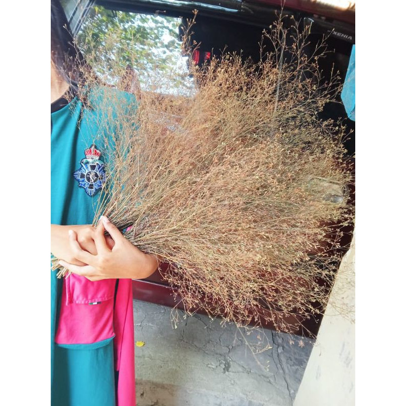 Jual Bunga ranting kering harga perikat isi (20-25) batang beli 10 ikat ...