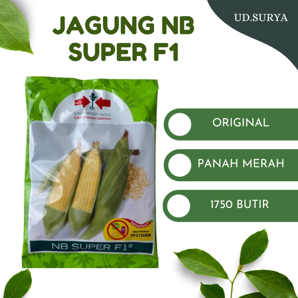 Jual BENIH JAGUNG MANIS NB SUPER 1750 BUTIR PRODUK PANAH MERAH | Shopee ...
