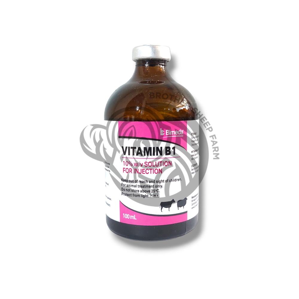 Jual Vitamin B1 Defisiensi Tiamin (CCN) Hewan Kucing Kelinci Domba ...