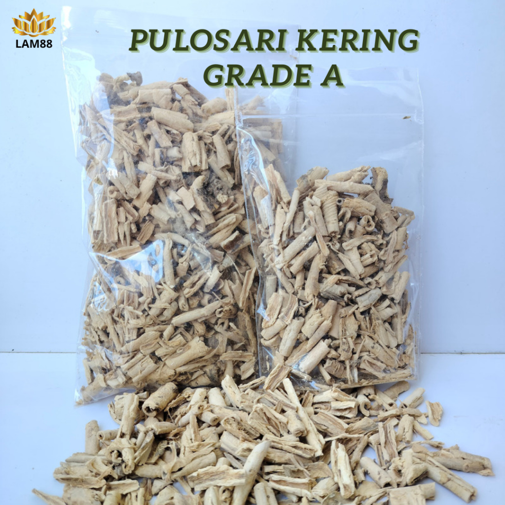 Jual Pulosari atau Pulowaras Super Grade A | 100 GRAM | 250 GRAM ...