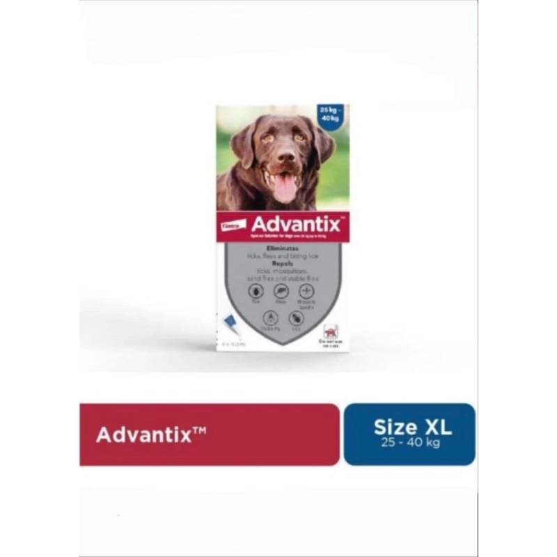 Jual Advantix dog extra large 25-40 kg obat kutu, nyamuk, lalat, pinjal, caplak | Shopee Indonesia