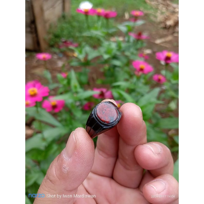 Jual Batu Badar besi merah asli nempel maghnet ( Real pict ) | Shopee ...