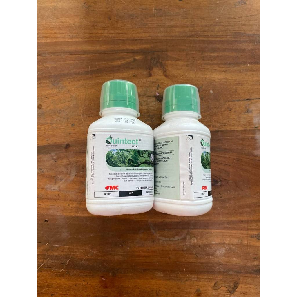 Jual FUNGISIDA QUINTECTFUNGISIDA QUINTECT 105 SC - Obat Pembasmi Hawar ...