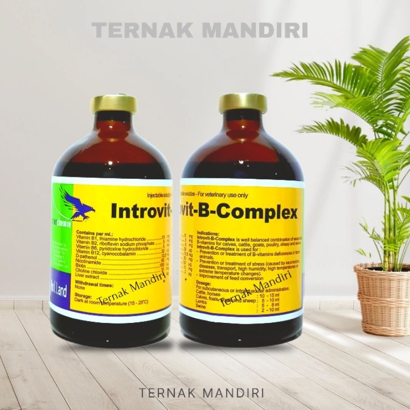 Jual INTROVIT B Complex 100ml vitamin B kompleks hewan ternak kambing ...