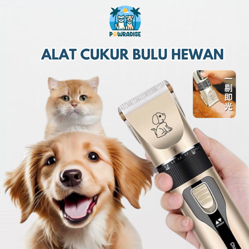 Jual Alat Pencukur Bulu Kucing - Pet Razor Pet Trimmer - Pet Clipper ...