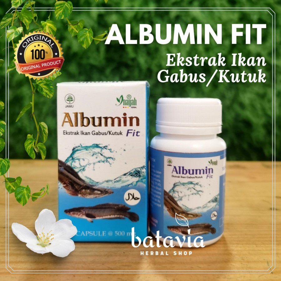 Jual ALBUMIN FIT INAYAH Kapsul Ekstrak Ikan Gabus Mempercepat penyembuhan luka luar / dalam ...