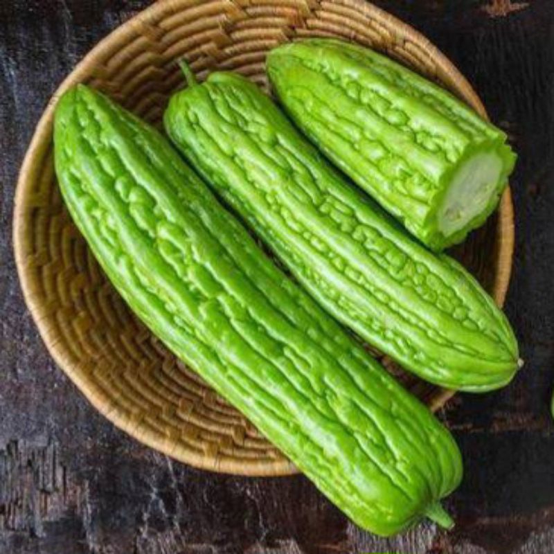 Jual BIBIT BENIH PARE / PARIA HIBRIDA || 10 BENIH UNGGUL KUALITAS ...