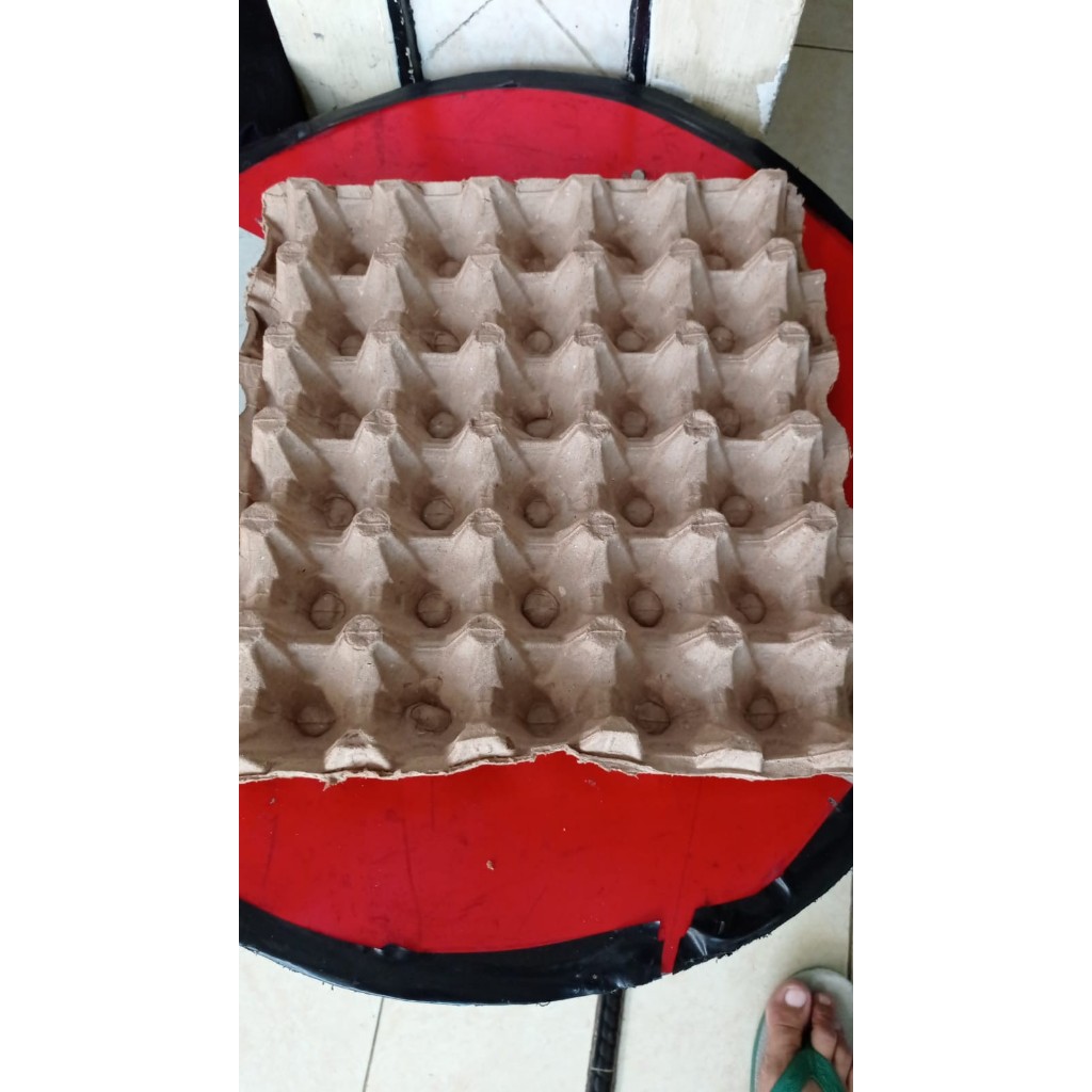 Jual Egg Tray Karton Kertas Tempat Telur Telor Ayam Bekas Second Bagus ...