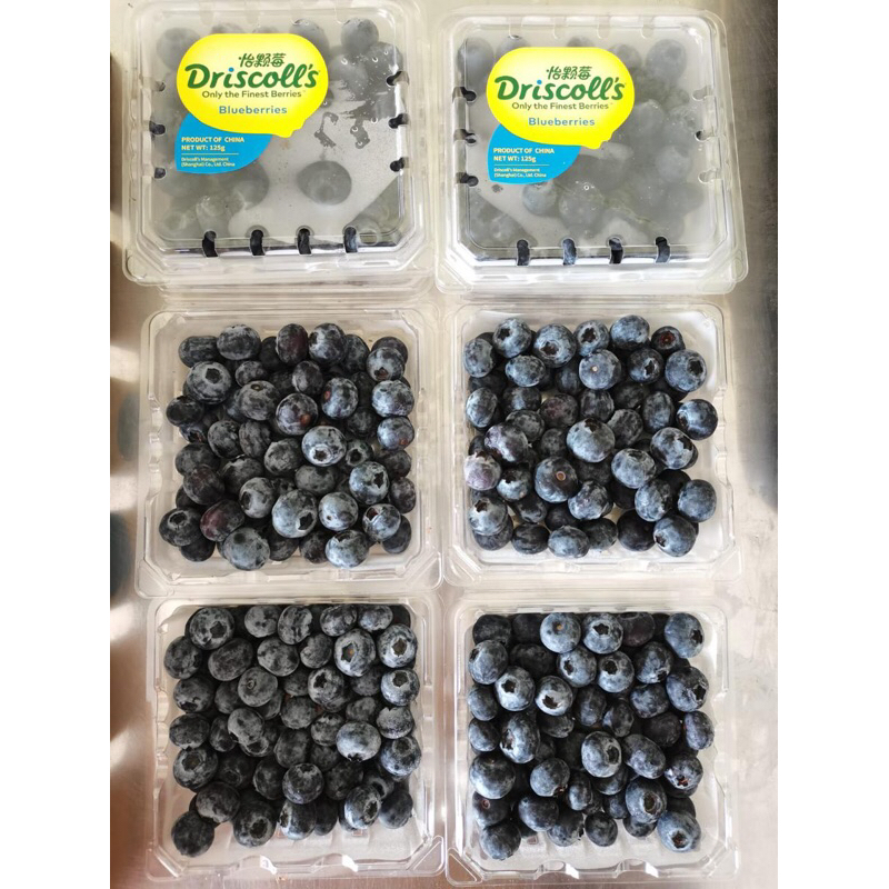 Jual Blueberry Driscoll's Australia Berat 125 gram /pack | Shopee Indonesia