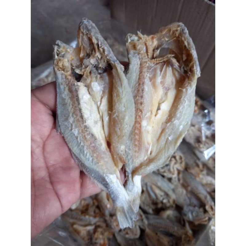 Jual ikan asin samge 250 gram | Shopee Indonesia
