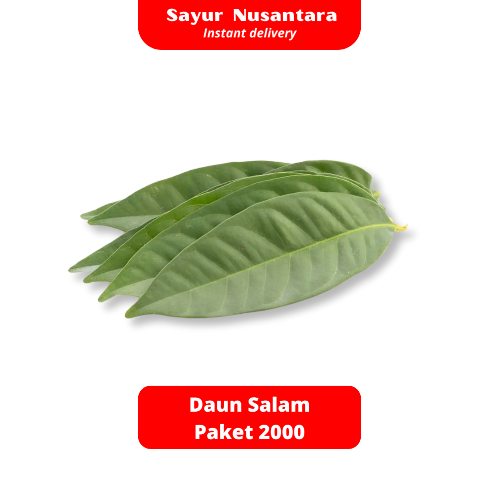 Jual Daun Salam Fresh Paket 2000 - Sayur Nusantara | Shopee Indonesia