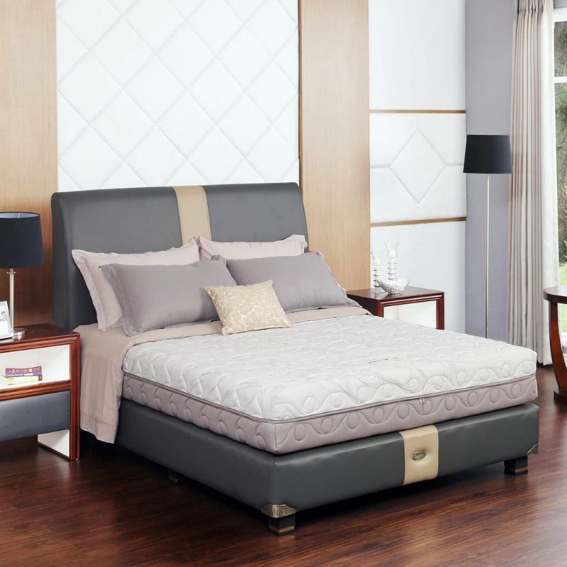 Jual SPRING BED BACK PEDIC MINIMALIS SPRING BED MODERN SPRING BED ...