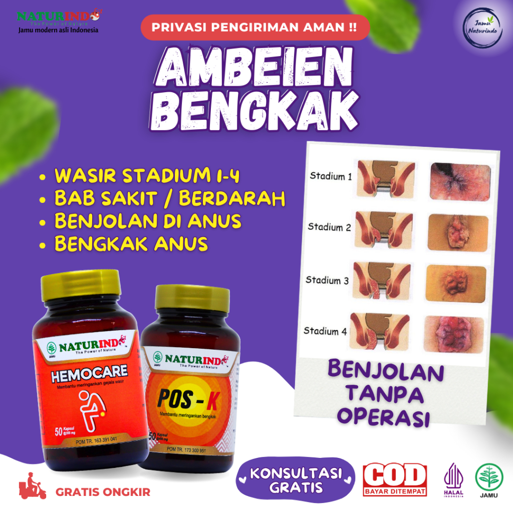 Jual Obat Wasir Ambeien Benjolan Bengkak Ambeyen BAB Berdarah Herbal Alami Daun Ungu Hemocare ...