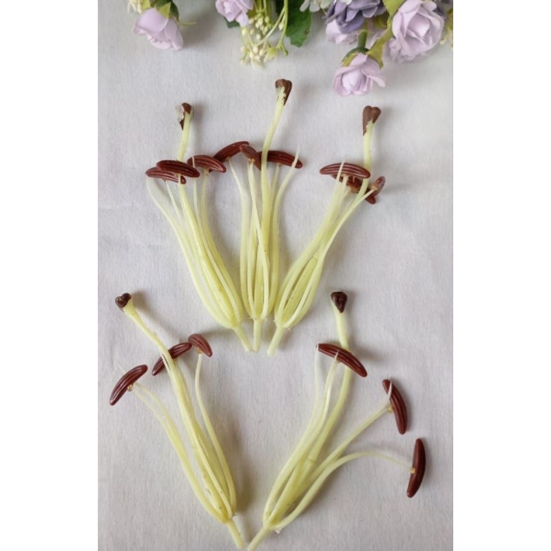 Jual Putik Lily Coklat Putik Bunga Lili Putik Plastik Putik Bunga Lily ...