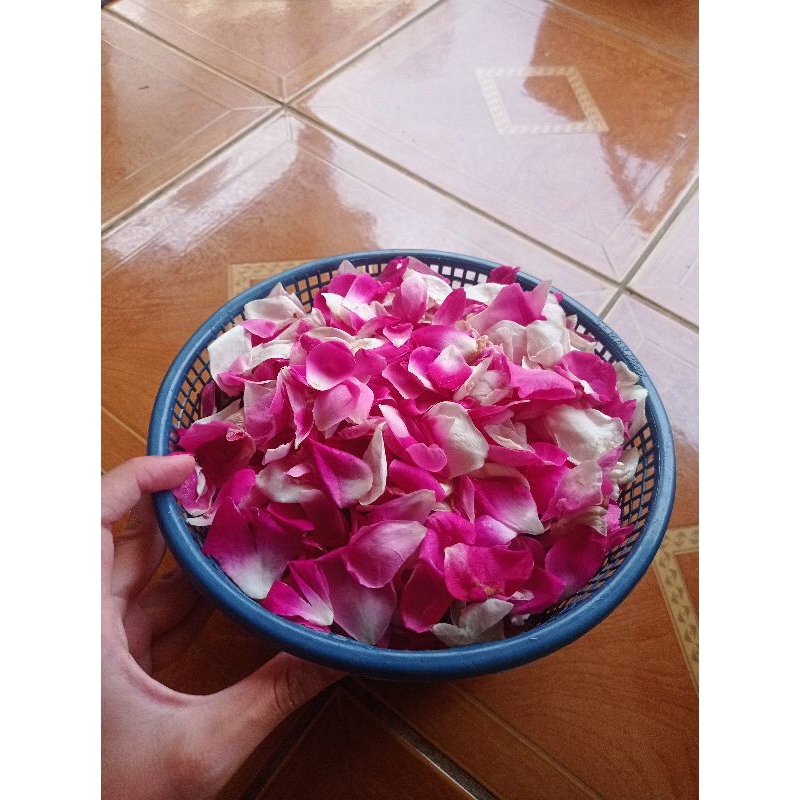 Jual Bunga Mawar Tabur Makam (Rontokan) | Shopee Indonesia