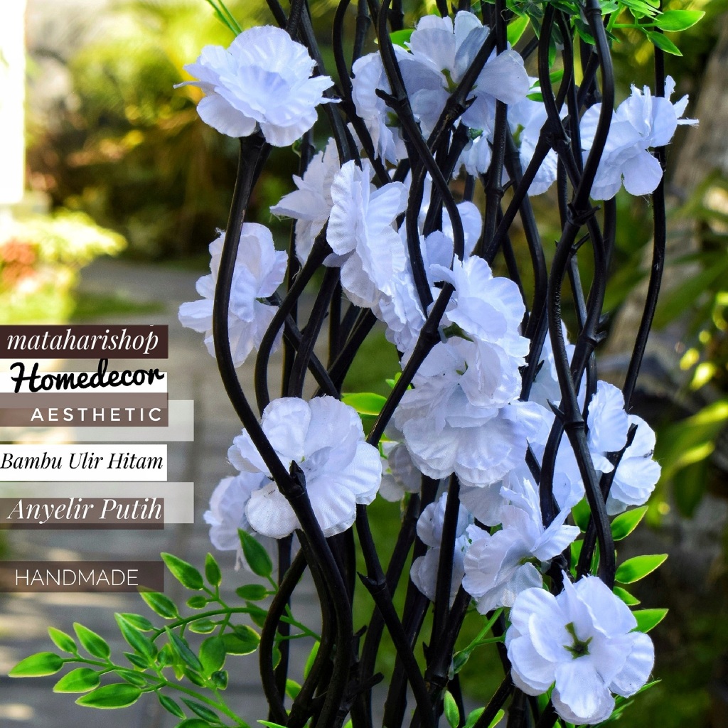 Jual bunga pojok ruang tamu 20 Btg Bambu Ulir Hitam Anyelir Putih 142cm ...