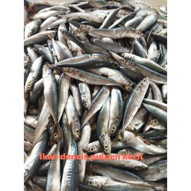 Jual Ikan dencis pulpen 1 kg | Shopee Indonesia
