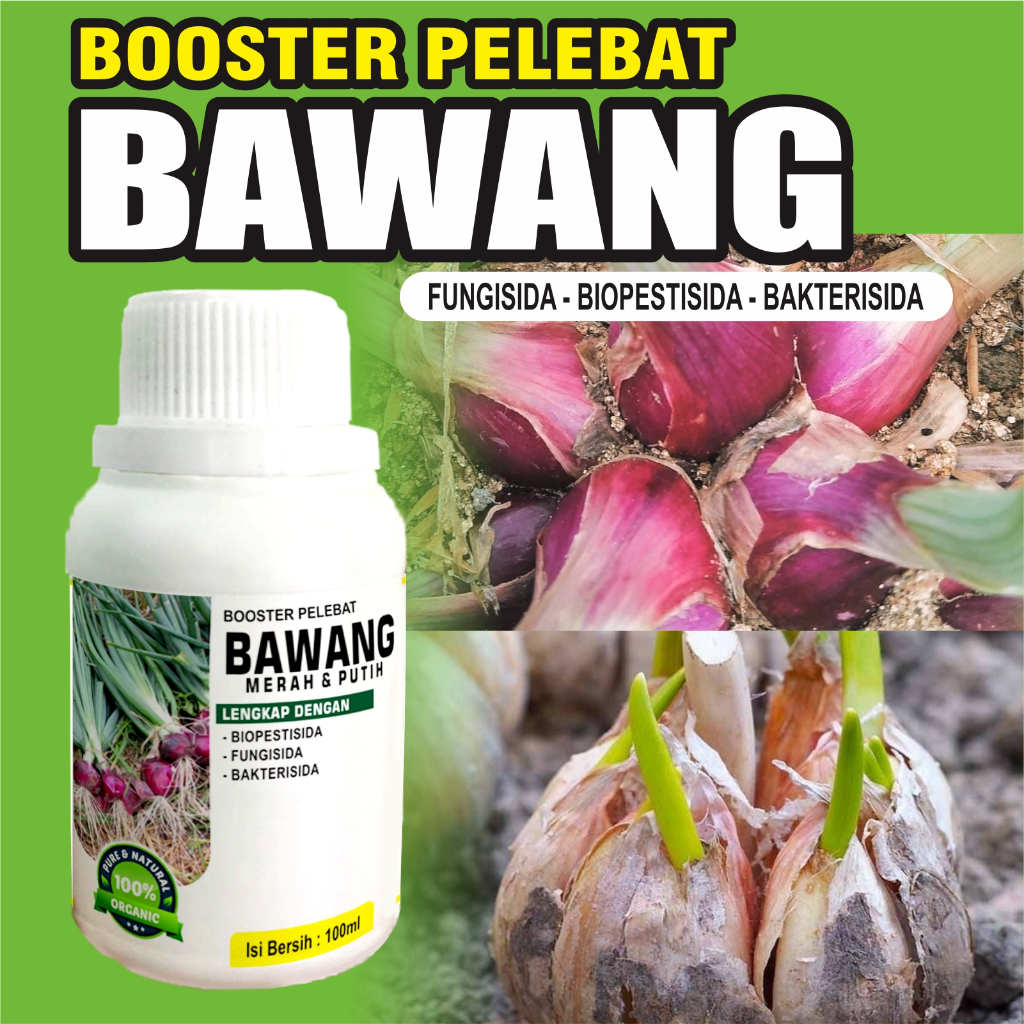 Jual Pupuk Booster Bawang Merah Dan Putih Pelebat Organik Cepat Berbuah Lebat 100ml murni ...