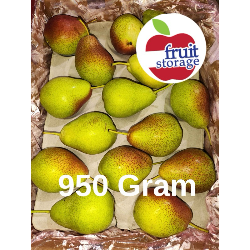 Jual Pear Forelle Anjou 1kg Afrika buah pir per forele kiloan | Shopee ...