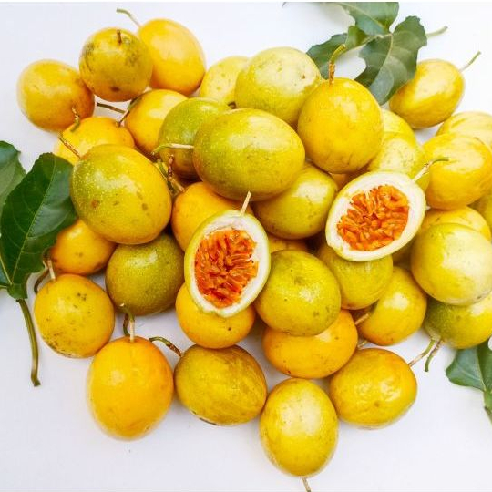 Jual Hafika Buah Markisa Kuning 1kg Buah Segar Manis Asam | Shopee Indonesia