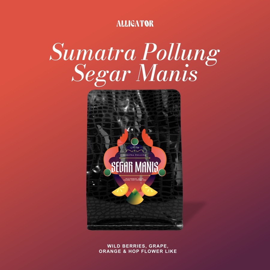 Jual Biji Kopi Filter Sumatra Pollung Segar Manis Catur Edition ...