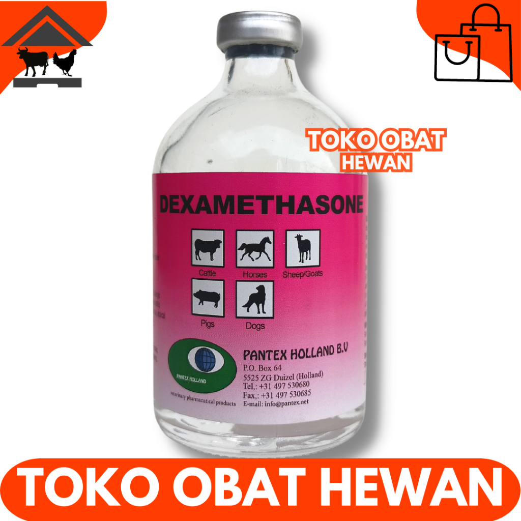 Jual PANTEX DEXAMETHASONE 100 ML - Obat Injeksi Atasi Lumpuh Pincang ...