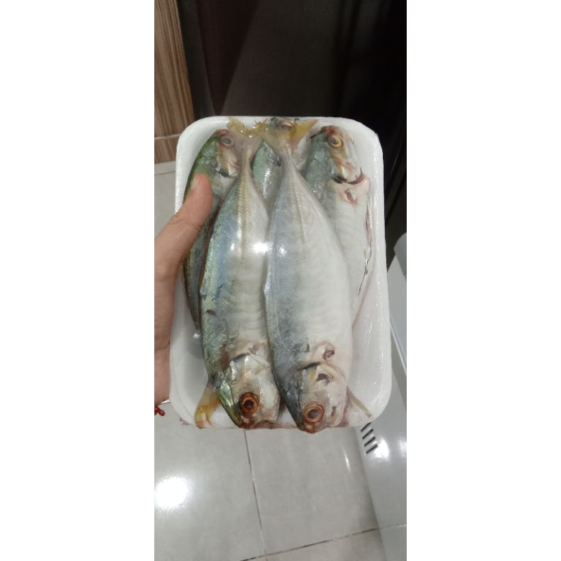 Jual Ikan Hapau 500gr | Shopee Indonesia
