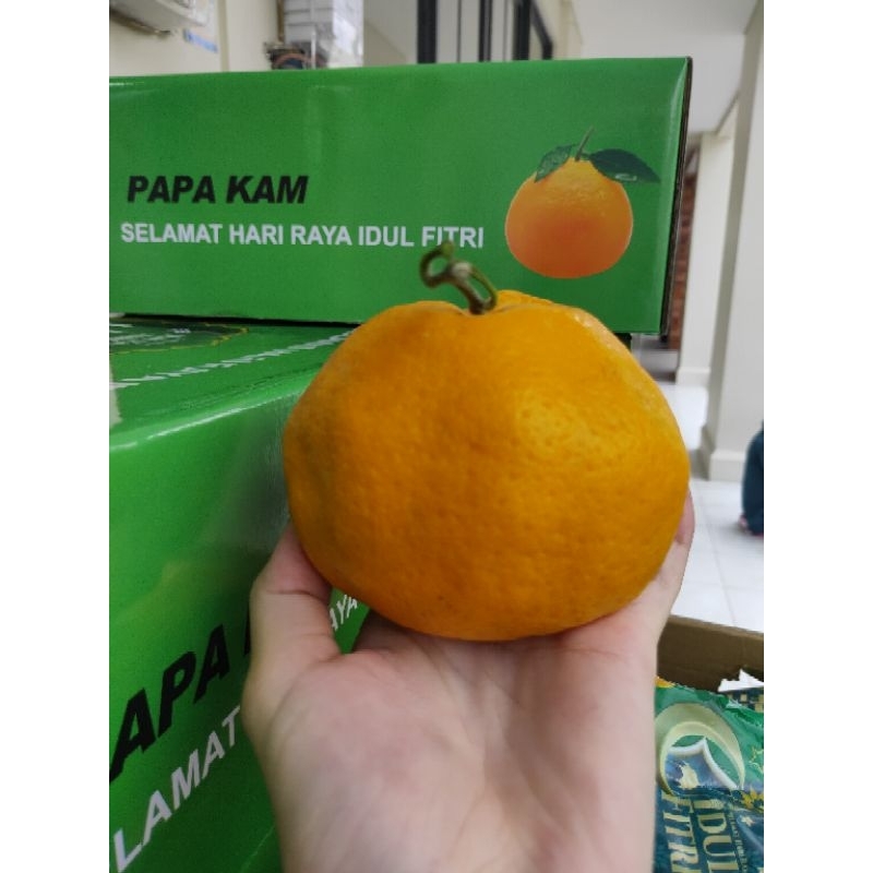 Jual papakan edisi lebaran 1 dus | Shopee Indonesia