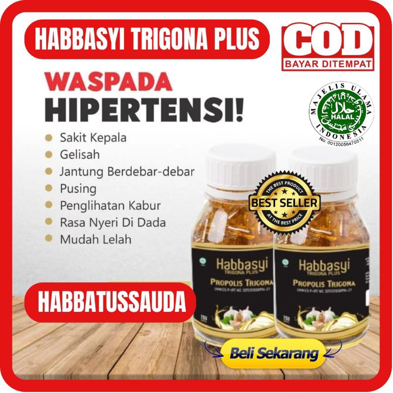 Jual [𝗔𝗚𝗘𝗡 𝗥𝗘𝗦𝗠𝗜] 𝗛𝗔𝗕𝗕𝗔𝗦𝗬𝗜 𝗧𝗥𝗜𝗚𝗢𝗣𝗟𝗨𝗦 - 𝗛𝗔𝗕𝗕𝗔𝗦𝗬𝗜 𝗧𝗥𝗜𝗚𝗢𝗡𝗔 𝗜𝗦𝗜 𝟮𝟬𝟬 𝗞𝗔𝗣𝗦𝗨𝗟 ...