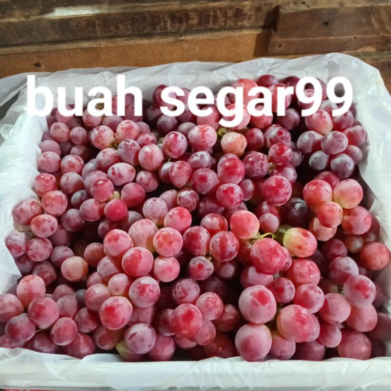 Jual anggur merah/anggur autrali manis freah 500grm | Shopee Indonesia