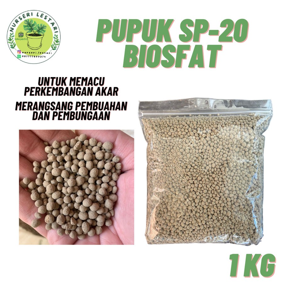 Jual Pupuk SUPER PHOSPAT SP-20 Biosfat Untuk Nutrisi Akar 1 KG | Shopee ...