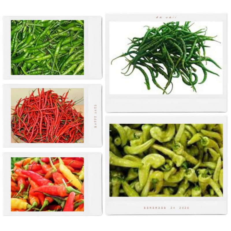 Jual Cabe rawit,cabe keriting merah,cabe keriting ijo | Shopee Indonesia