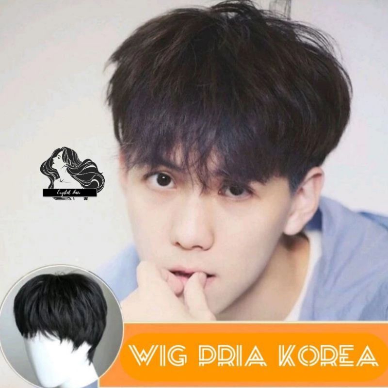 Jual Wig pria korea poni panjang warna hitam natural rambut palsu korea ...