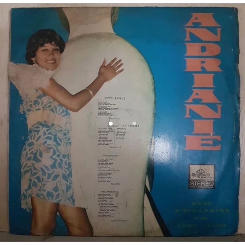 Jual Vinyl Piringan Hitam 12 inchi Andrianie-Karang Setra | Shopee ...